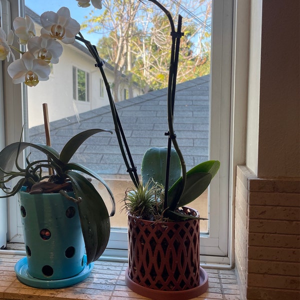 Orchid Pot, Unique Plant Pot With Drainage Holes and Saucer, 3D Printed ...
