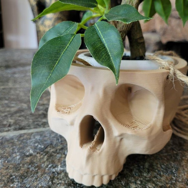 Skull Hanging Planter Pot, Hanging Kit Included - Succulent Planter ...