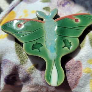 Octopus Gourd Lamp Hand Painted Pierced and Carved Gourd - Etsy