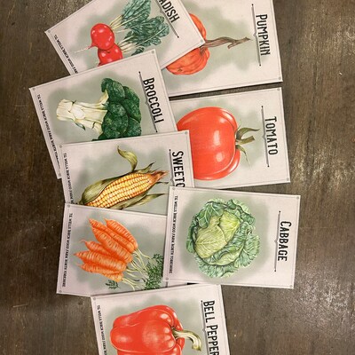 Dementia Activity Digital Download Sparking Conversations Printable ...