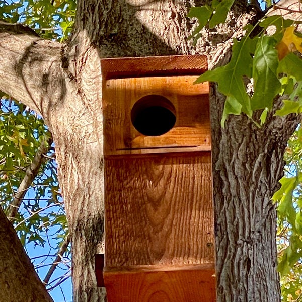 Barred or Great Horned Owl Nesting Box Made of Pine and Cedar - Etsy