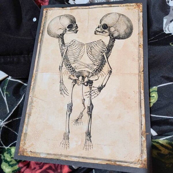 Aged Reproduction of Aleister Crowley's Drawing of LAM - Art Print A4 ...