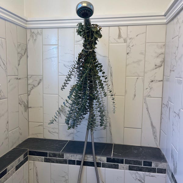 Fresh Eucalyptus Shower Bundle, Eucalyptus Shower Bundle, Indoor ...
