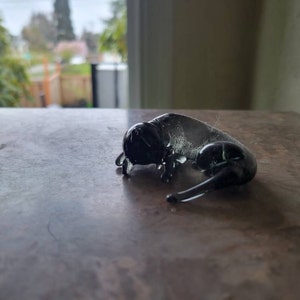 Cremation Frog Memorial Figurine Ashes Keepsake Memorial - Etsy