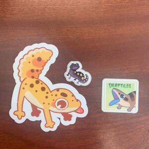 Pet Reptile Stickers full Set of 12 Matte-laminated Stickers for ...
