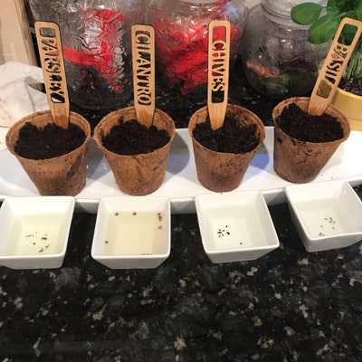Herb Seeds Set of 4 parsley Chervil Lemon Balm & Chives - Etsy