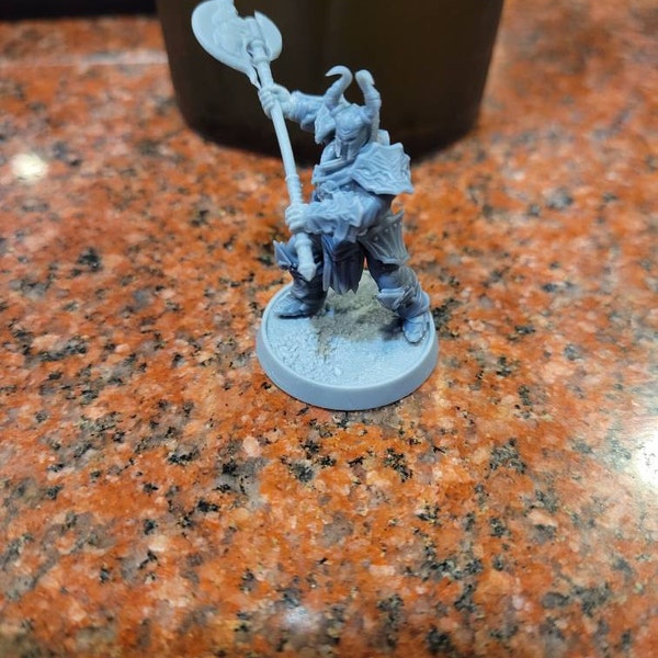 Colonel Thierry Du Lion D'argent Paladin Bust to Paint Dungeons Dragons ...