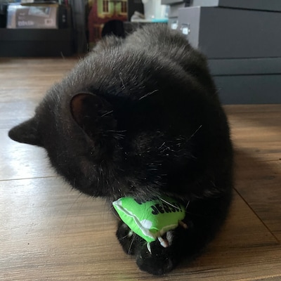 Chinese Takeout Asian Hot Sauce Packet Catnip Cat Toy - Etsy