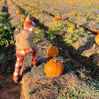 Merlin Fully Lined Robe PDF Sewing Pattern Unisex, Wizards Bathrobe ...