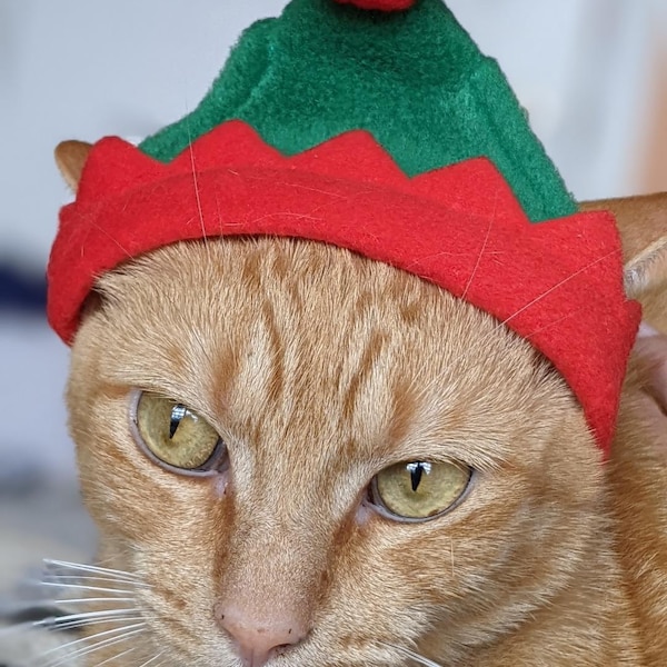 Elf Cat Hat. Christmas Cap for Cats and Kittens. Pet Photo Prop ...