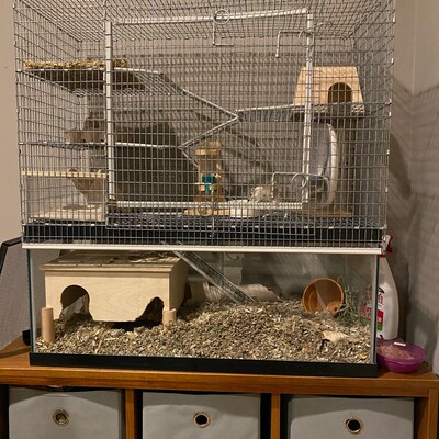 13 Wide X 30.5 Long X 15 Tall 20L Aquarium Tank Topper Cage Funhouse ...