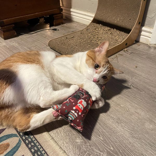 Tabico Calico Tabby Cat Vinyl Sticker for Water Bottle and Laptop, Cute ...