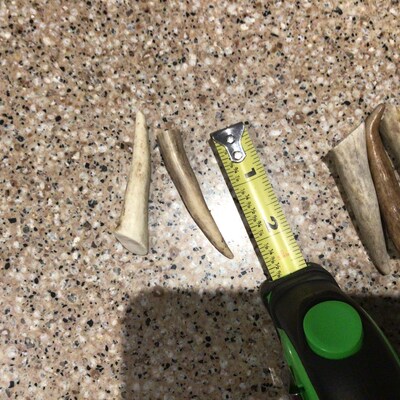 6 Pack-small Deer Antler for Dogs, All Natural Dog Chew Grade A ...