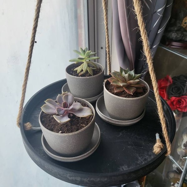 Harmony 7" Planters | Indoor Small Succulent Planters | Planter With ...