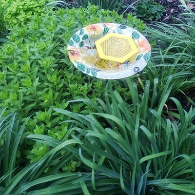 Monarch Butterfly Raising Kit Butterfly Raising Kit, Milkweed Floral ...