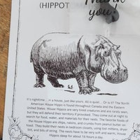 Quirky House Hippo Figurine - A Unique Gift for the Hippo Lover in Your ...