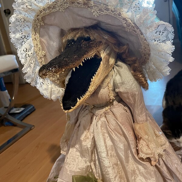 Centipede - Scolopendra - Centipedes - Invertebrates - Arthropod ...