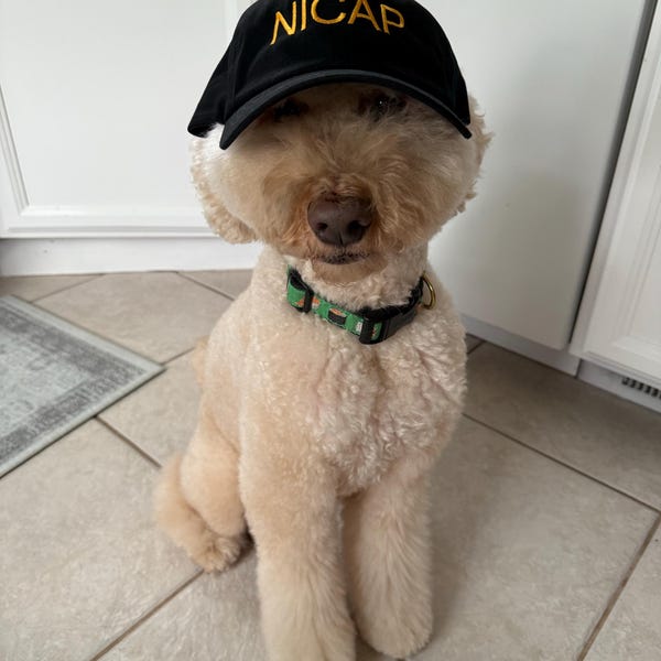 Camp Crystal Lake Sign T-shirt, Friday the 13th Inspired Shirt, 80s ...