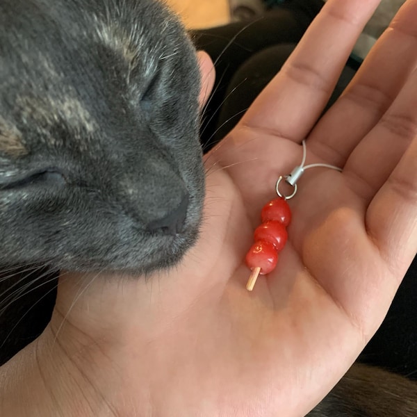 Hanami Dango Phone Charm Cute Mochi Phone Charm - Etsy