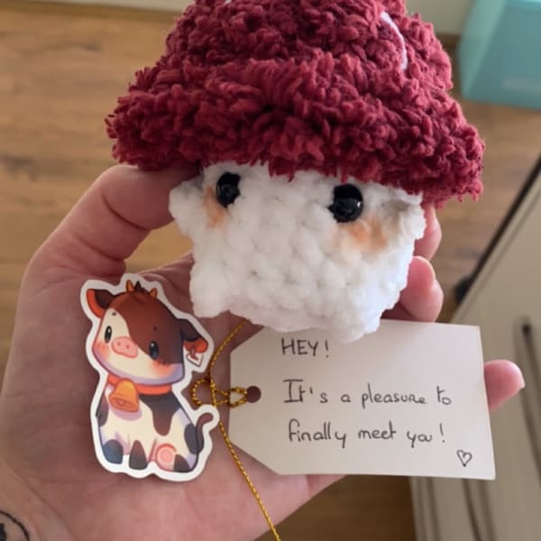 Crochet Plushie Mystery Bag⎢ Stuffed Kawaii Animal, Aesthetic, Gacha ...