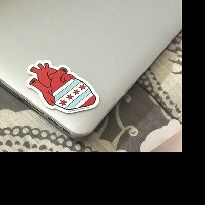 Chicago Flag Anatomical Heart Die Cut Sticker - Etsy