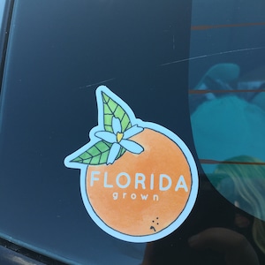 Watercolor Florida Grown Orange Die Cut Sticker - Etsy