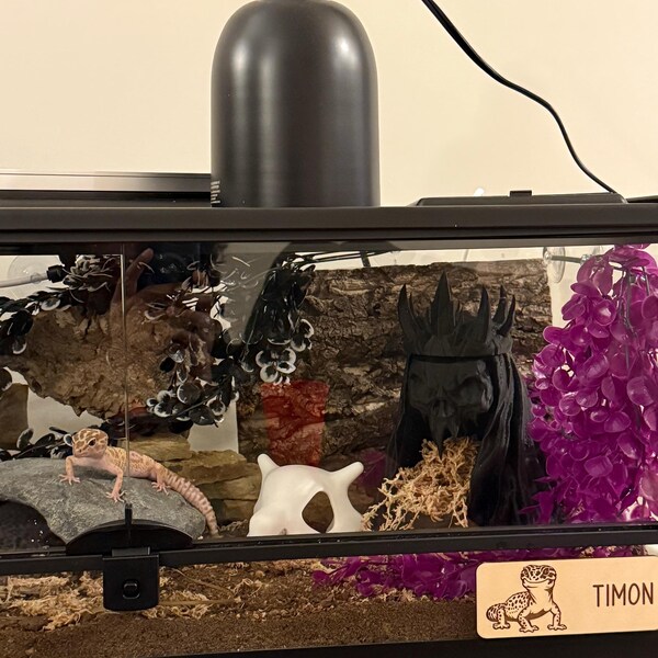 Leopard Gecko Tank Decor, Leopard Gecko Accessories, Leopard Gecko Tank ...