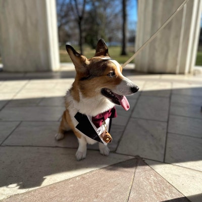 Worm Patch Iron on Sew on Embroidery Earthworm Patch Wormie Patch ...