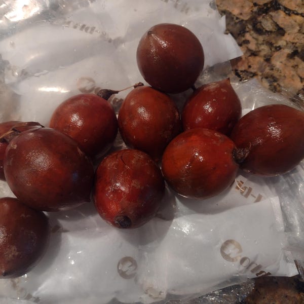 African Wooden Spoon/omorogun/swallow Turning Stick. - Etsy