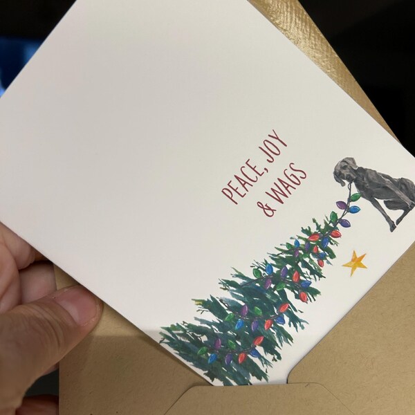 Thank You Cards, Boxing Themed Cards, Boxing Thank You Cards, Boxing ...