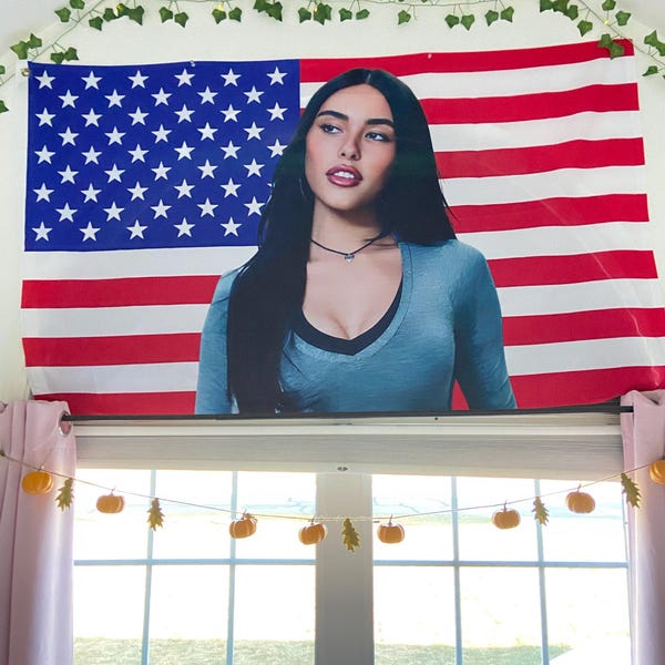 Sana TWICE USA Flag Bunnie KPOP American Flag Tiktok Meme Trendy Room Tapestry Fanmade Subtle ...