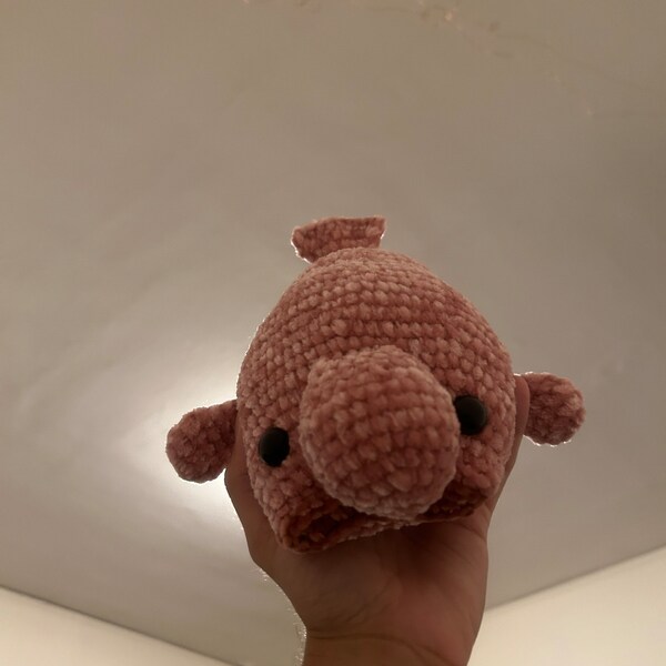 Blob Fish Amigurumi Crochet Pattern, Printable Pdf - Etsy Canada
