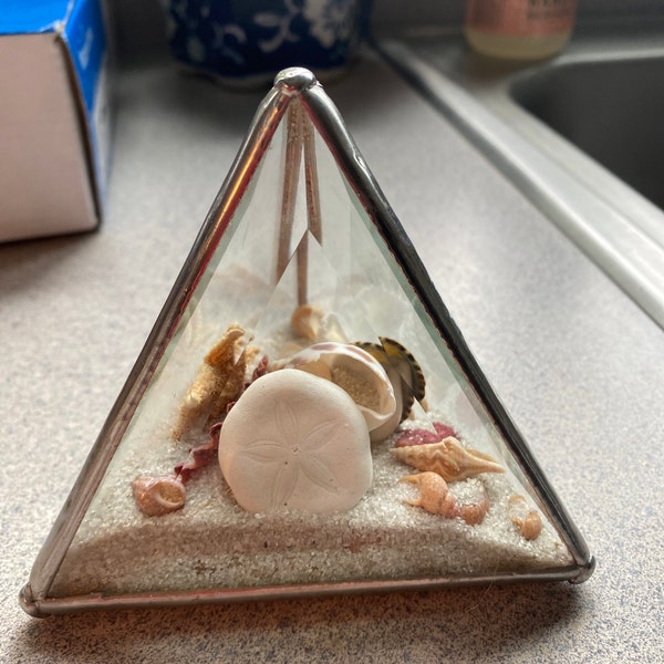 Seascape (5 Inch Triangle) Ocean Office and Home Decor, Seashells ...