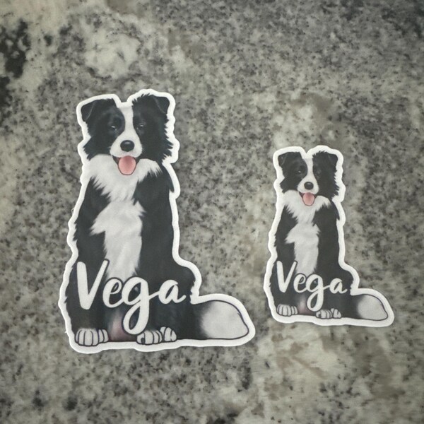 Iron on Patch Sew on Patch Crow DIY Patches Heat on Patch Embroidered ...