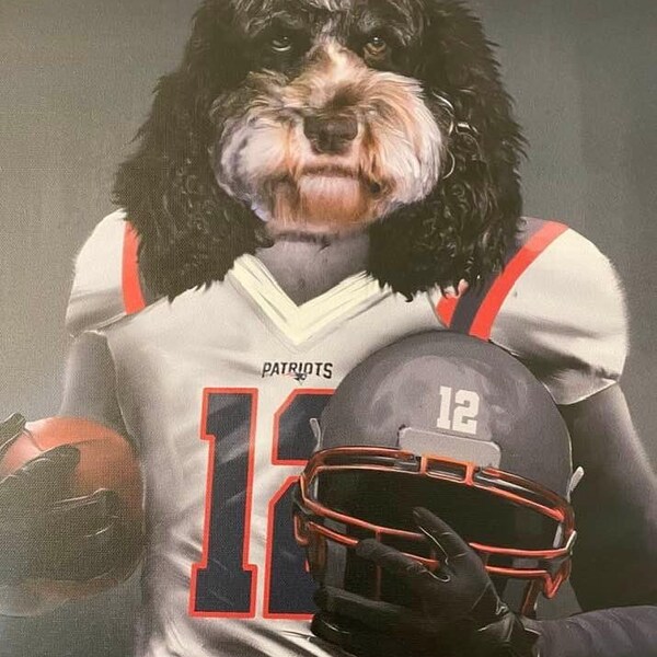 Custom Pet Portrait Football New England Patriots Canvas Funny Pet ...