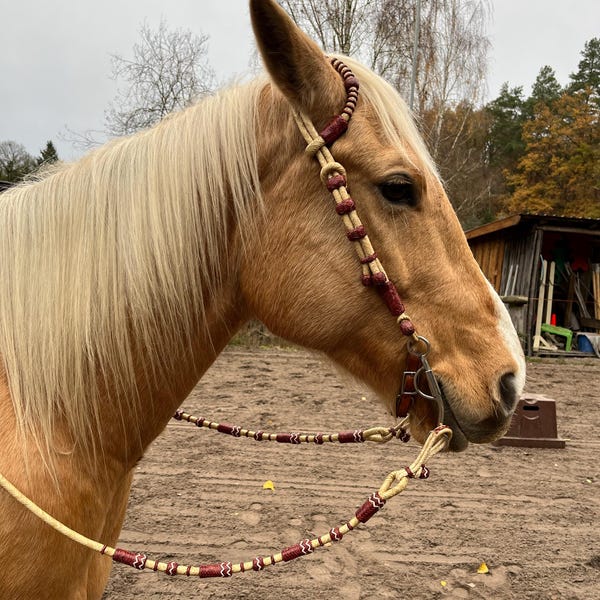 Handmade Bosal Set, 40 Plaits Rawhide Natural & Black Bosal Set, Bosal ...
