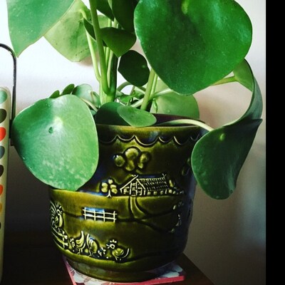 Stoneware Coffee Storage Jar Container Canister John Hermansen Rustic ...