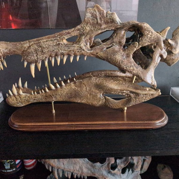Spinosaurus Dinosaur Skull Replica Made From 3d Scans Of Real Fossils