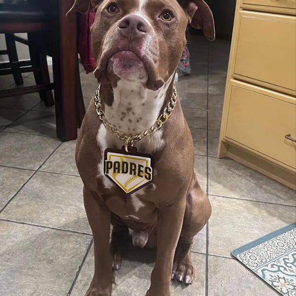 Custom Basketball Sports Team Turnover Chain | Basketball Chain ...