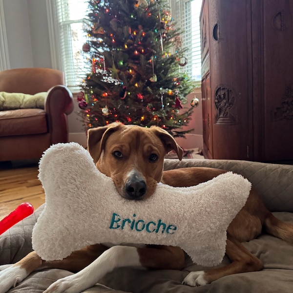 Personalized LARGE Dog Bone Large Pet Pillow, Personalized Gifts for ...
