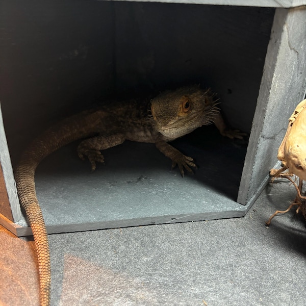 3 Tier Open Back Slate Hide 11x11x8 for Fish, Snake, Reptile, Turtle ...