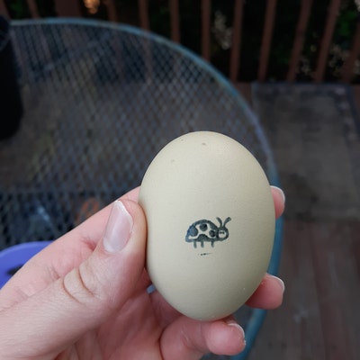 Ladybug Mini Egg Stamp Chicken Egg Stamp Fresh Eggs Chickens Farmhouse ...
