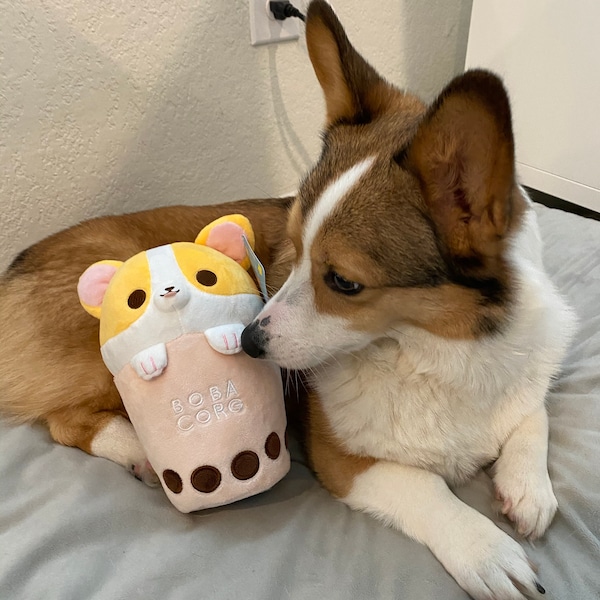 Big Boba Corg Plush | Corgi Plushie | Boba Plushie - Etsy