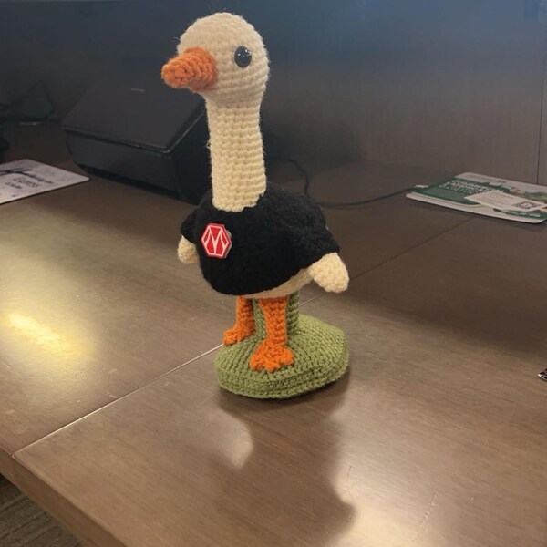 PATTERN ONLY Crochet Desk Goose PDF Pattern, Bonus: Rain Hat and Poncho ...