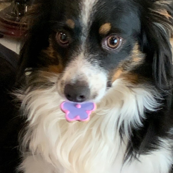 Custom Dog Treats Photo Dog Cookies Puppy Treats Gourmet Dog Cookies ...