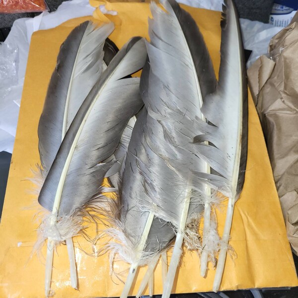 IFA Divination Book in English - Etsy