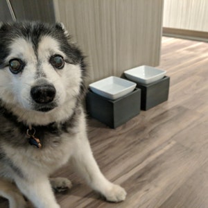 Modern Square Dog Bowl Set Elevated Pet Feeder Porcelain | Etsy