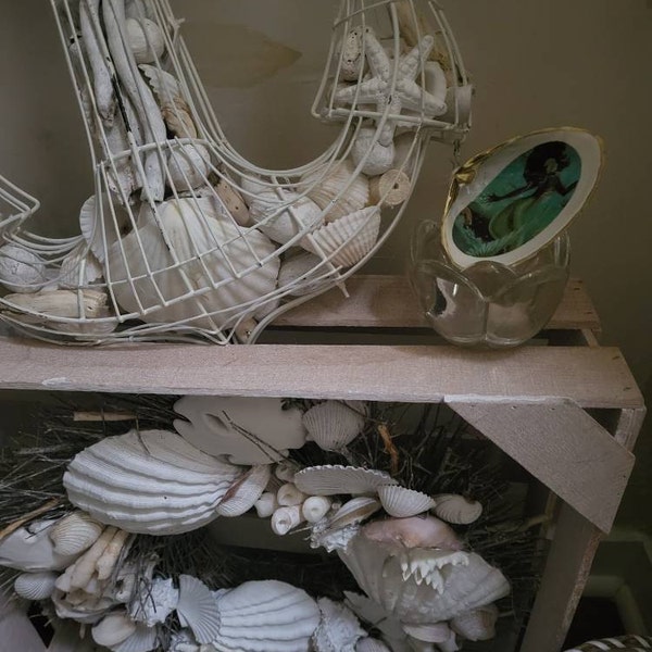 SET OF 4, Jumbo 5-1/2” CLAM Shells, Sea Clam, Craft Sea Clam, Decoupage ...