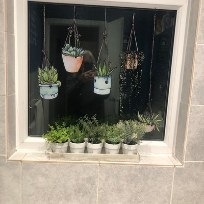 Illustrated Hanging Plants Window Stickers Reusable No Adhesive Double ...