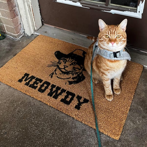 Meowdy Doormat, Funny Door Mat, Cat Doormat, Funny Welcome Mat, Cowboy ...